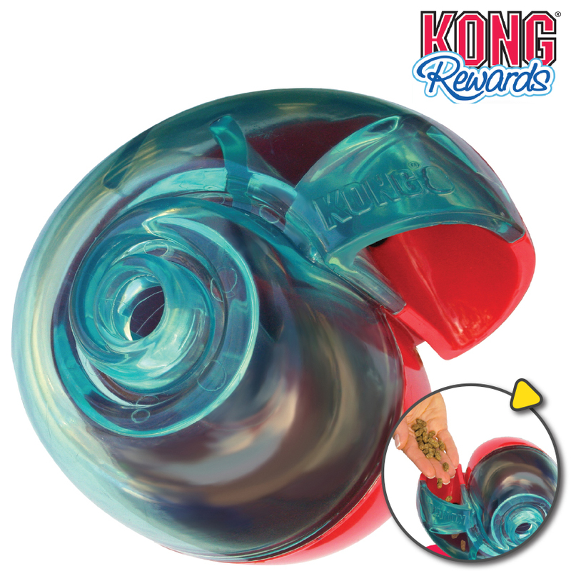 KONG Rewards Shell Interactive Treat Dispensing Dog Toy | HOOTGET.com.au