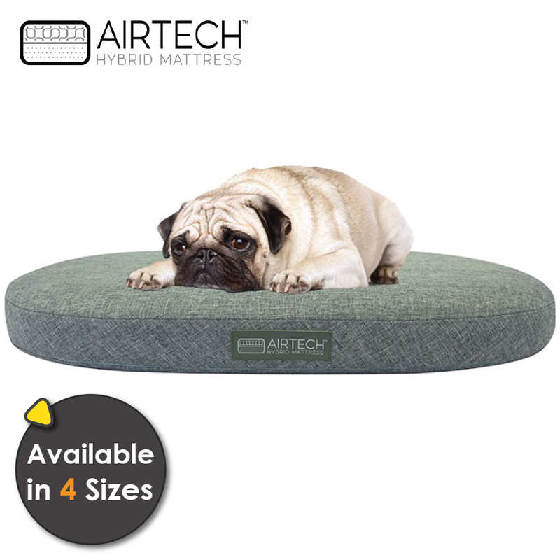 Purina Petlife Airtech Dog Mattress Seaweed | HOOTGET.com.au